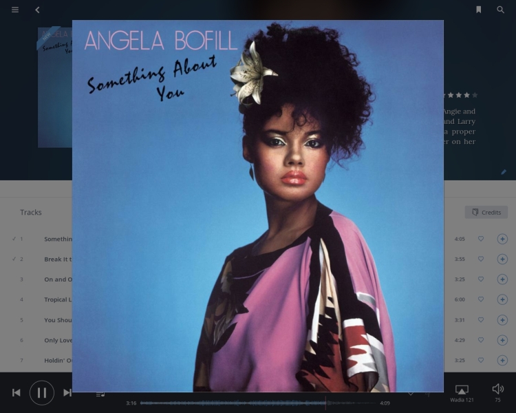 ROON – The new standard in Music Server, Browser and Player software ...